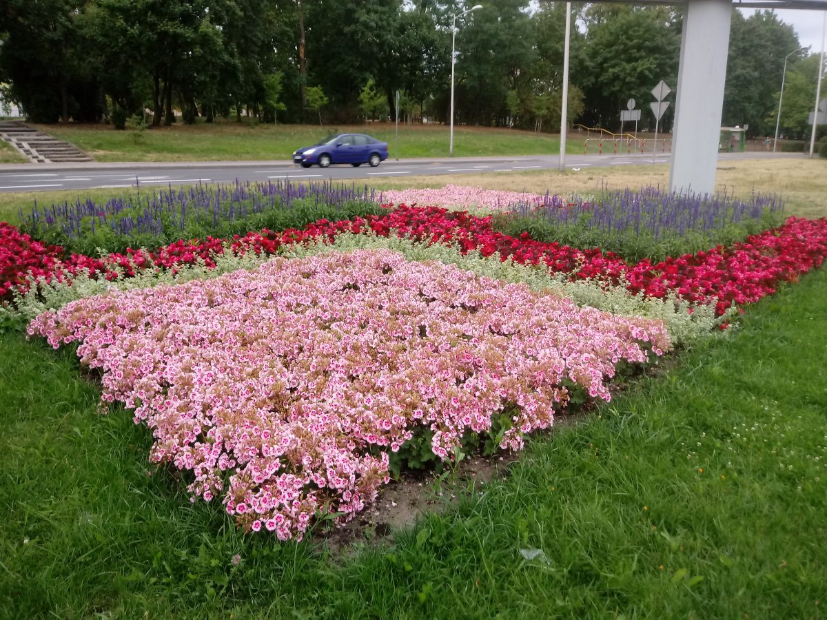 Strona Główna - ZGK